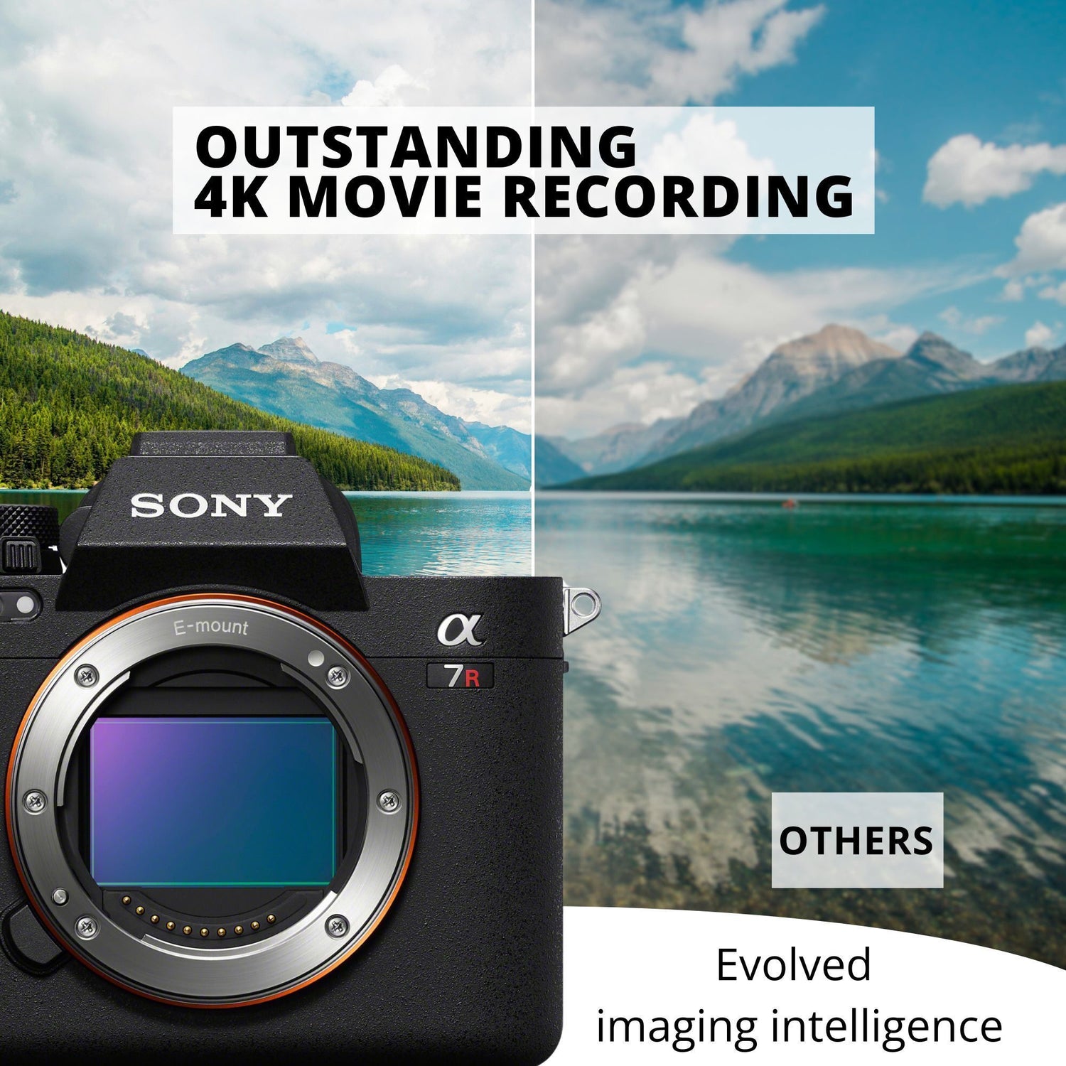 Sony Alpha a7R V Full-Frame Mirrorless Camera with Shotgun Microphone ...